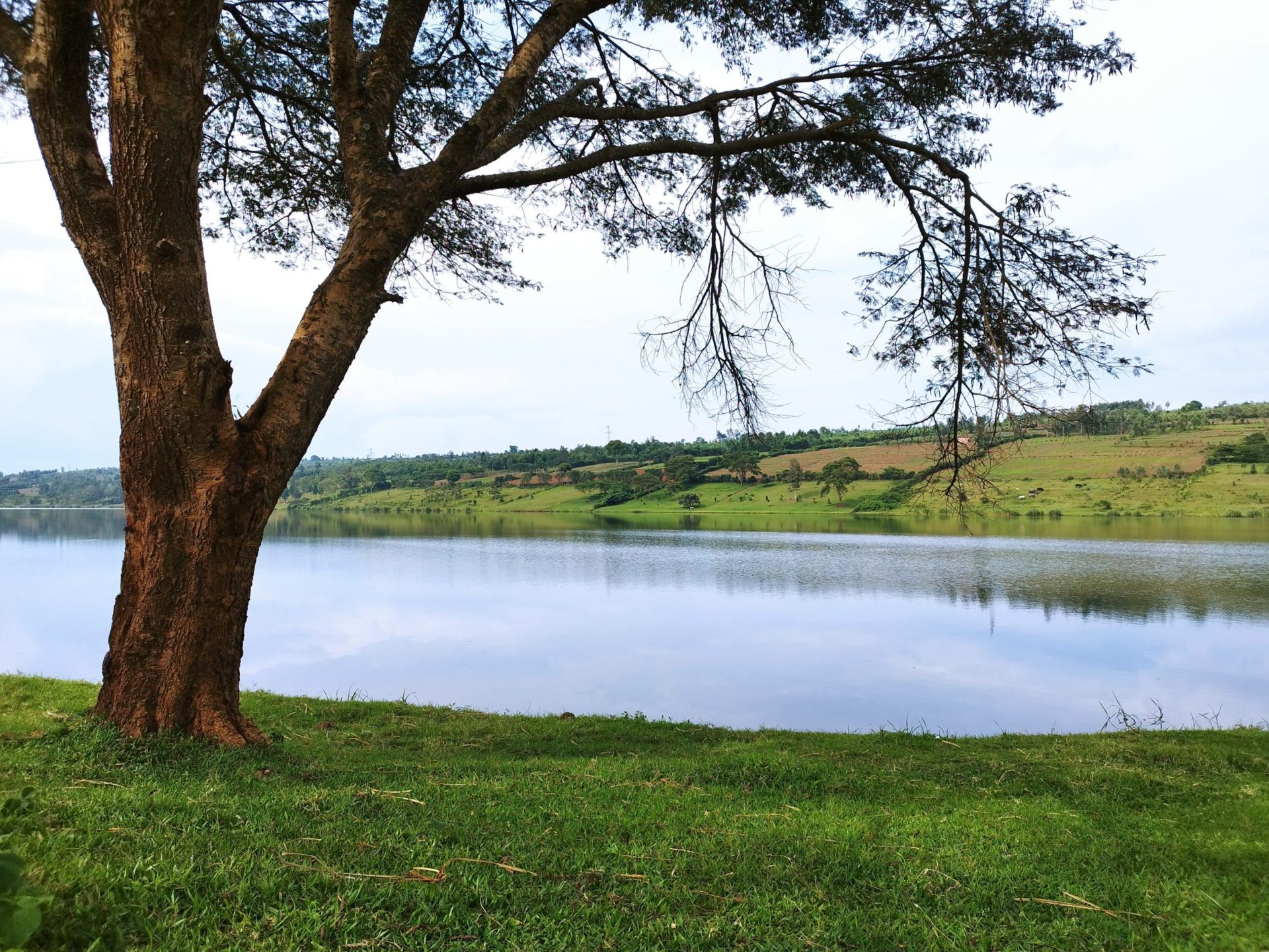 Muraho Rwanda! – Lehrerreise